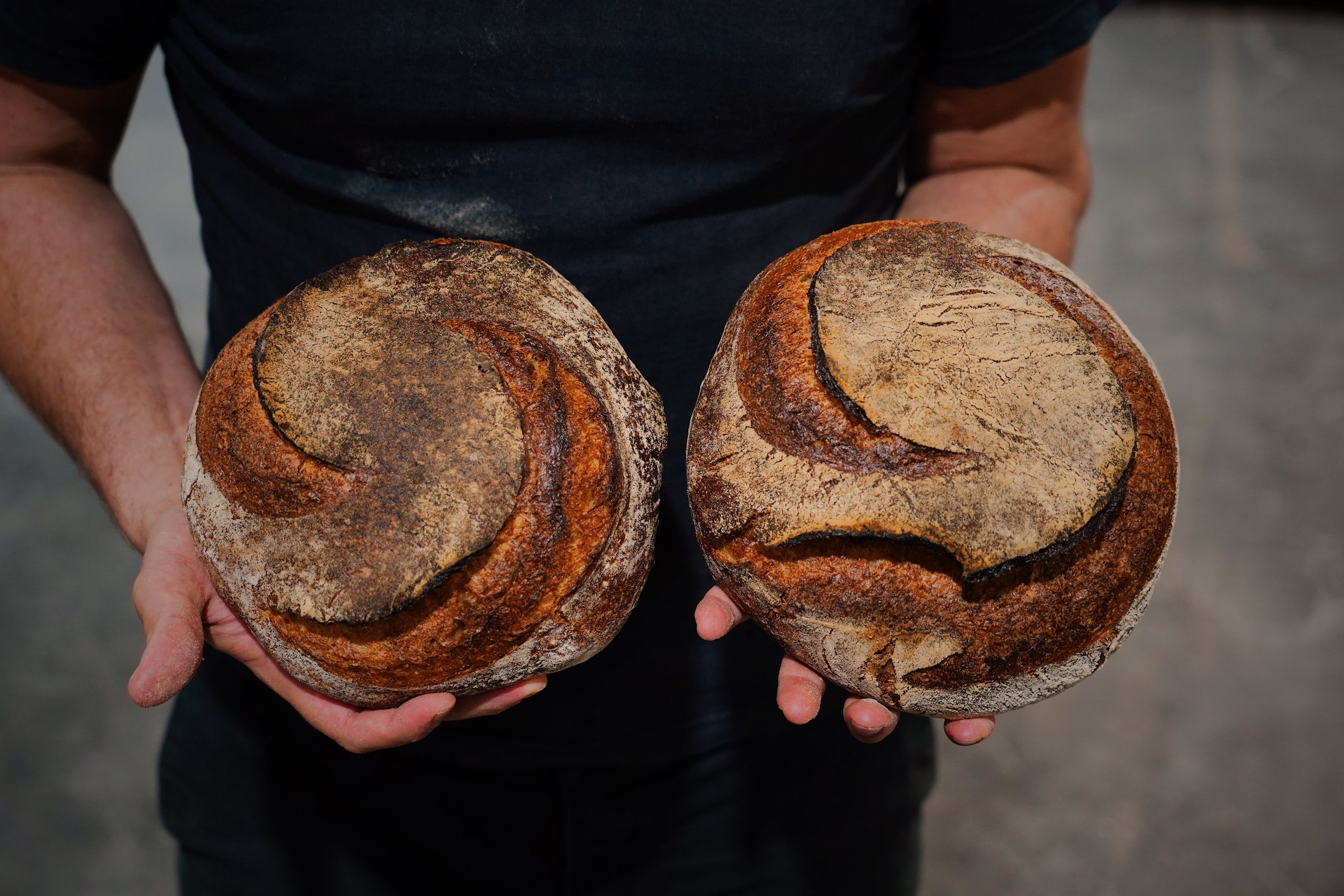 Spelt & Honey Sourdough | Brickfields Bakery